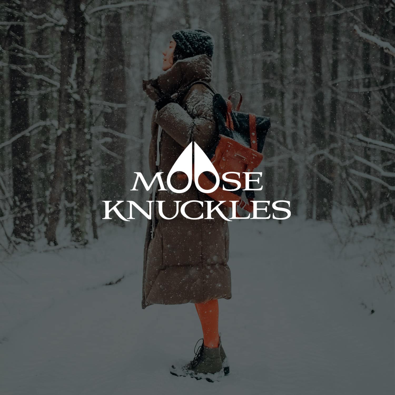 AOD Marketing : Digital Marketing Agency